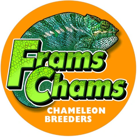 FramsChams – Shop Reptifiles