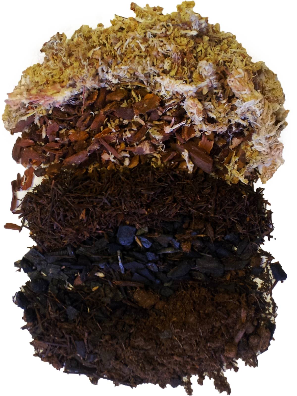 Substrates – Shop Reptifiles