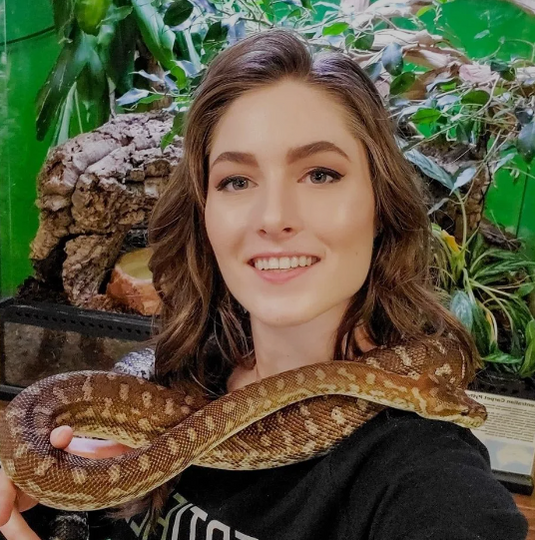 Josh's Frogs Live Arrival Guarantees – Shop Reptifiles